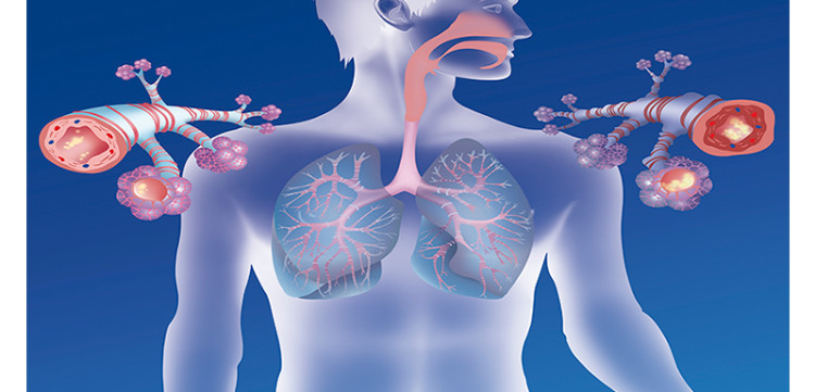 Free CME Courses for Physicians | Free Online CME | myCME