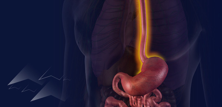 Free Online CME Courses for Physicians | myCME