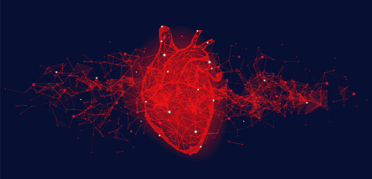 Cardiology CME - Cardiology Courses Online | myCME