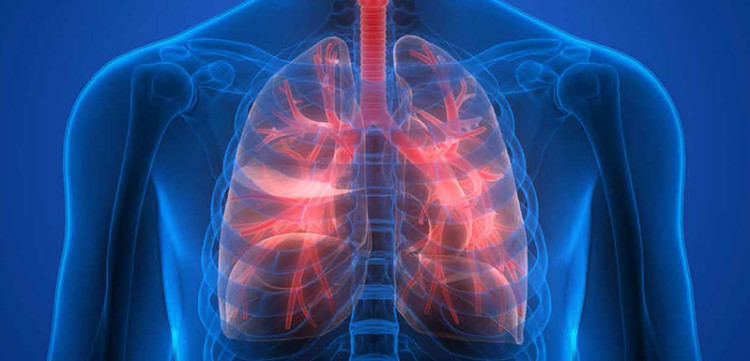 Free CME/CE for Nurse Practitioners - NP Continuing Education | myCME