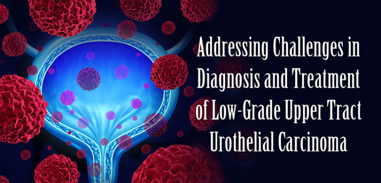 Free CME Courses for Physicians | Free Online CME | myCME