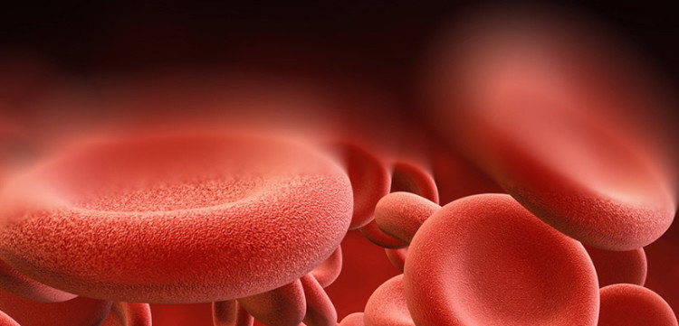 Free Online CME Courses for Physicians | myCME