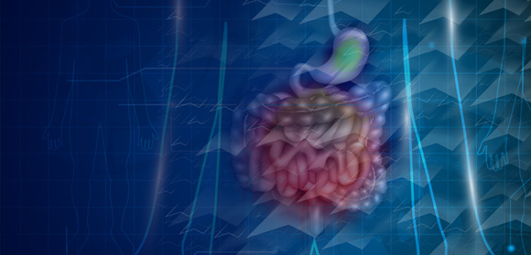 FREE and FAST CME and CE courses | myCME