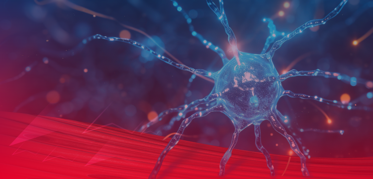 Free Online CME Courses for Physicians | myCME