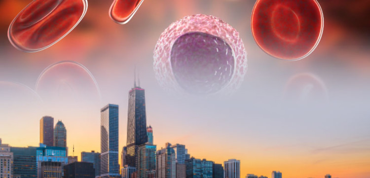 Pain Management CME - Pain Management Courses Online | myCME