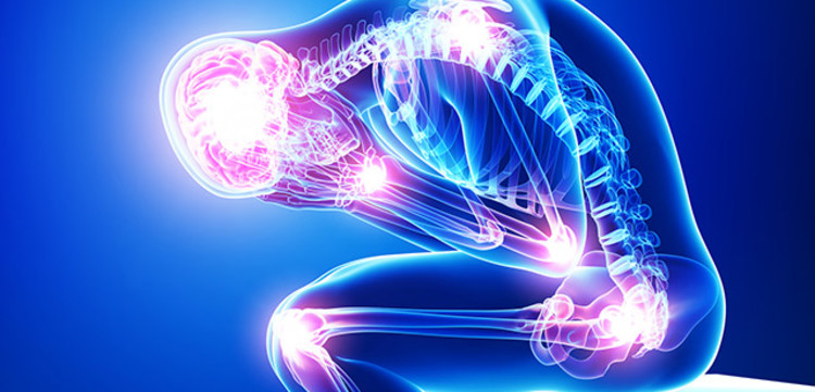 Harvard Health Publishing