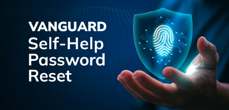 Vanguard Integrity Professionals