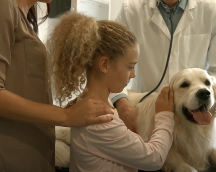 Vet-Advantage (VetFolio)