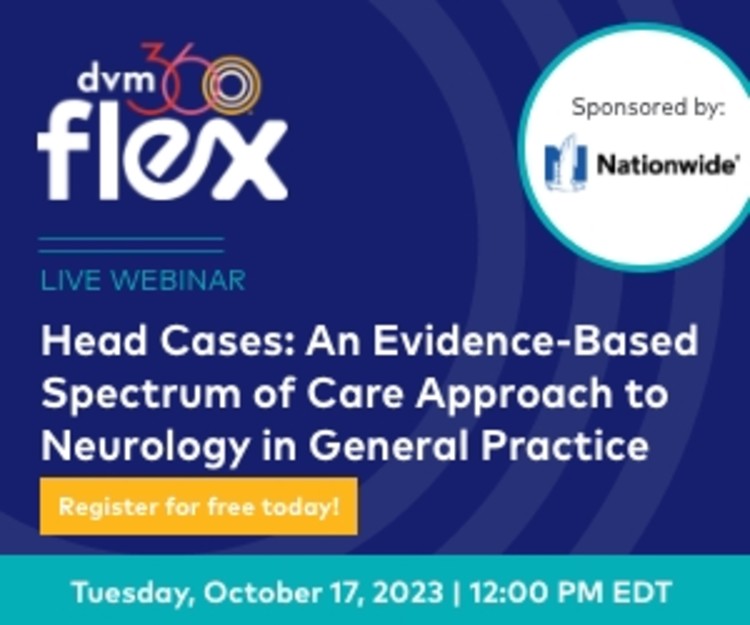 DVM360 CE | Veterinary Continuing Education