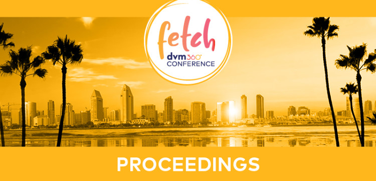 Proceedings