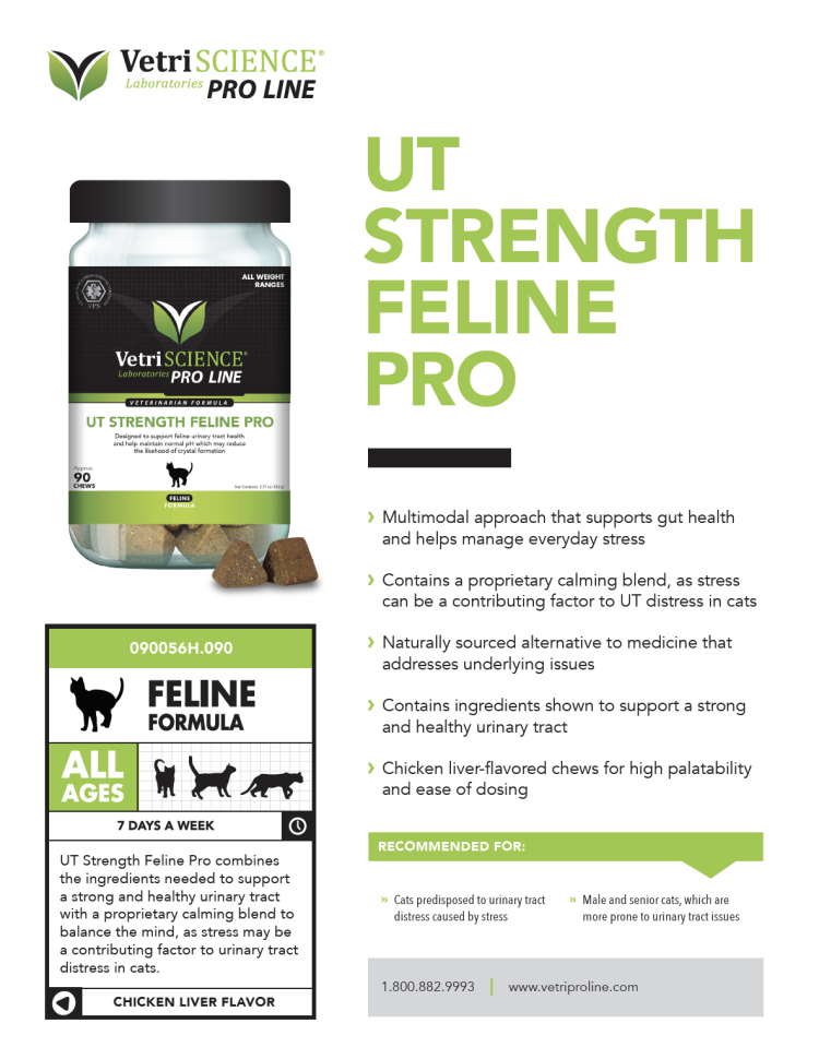 Vet-Advantage (VetFolio)