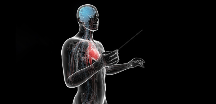 Cardiology CME - Cardiology Courses Online | myCME