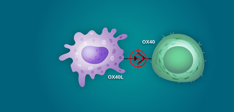Dermatology CME - FreeCME Online | myCME