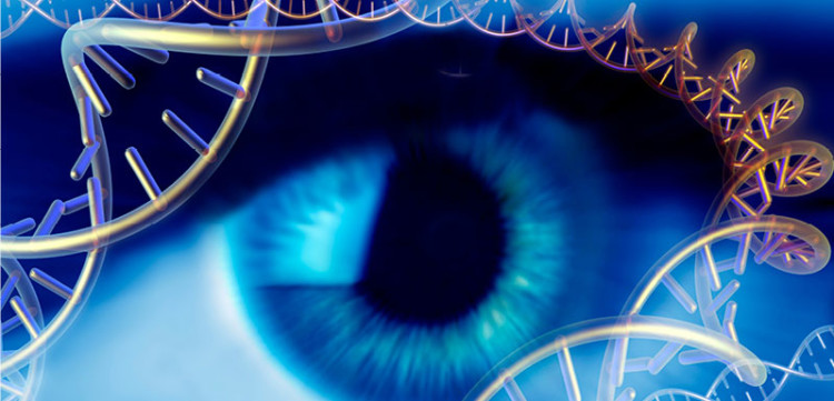 Ophthalmology CME - Free Ophthalmology Courses Online | myCME