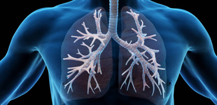 Pulmonology Cme Online Credits Courses Mycme