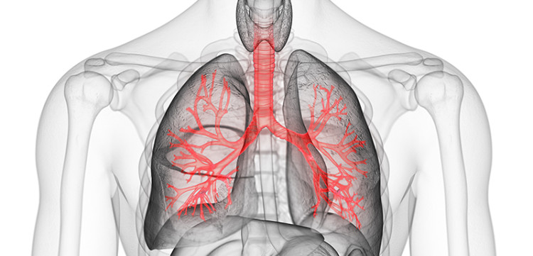 Pulmonology Cme Online Credits Courses Mycme