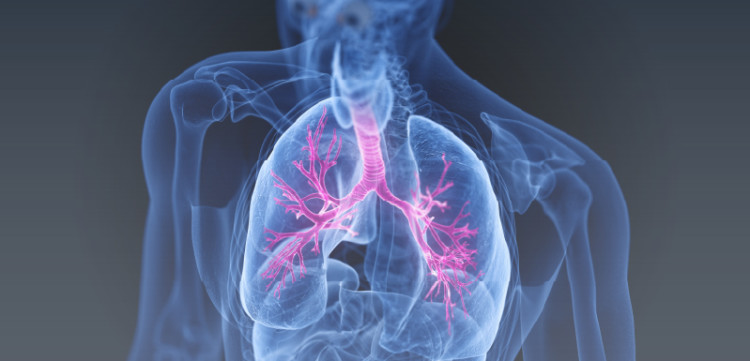 Pulmonology Cme Online Credits Courses Mycme