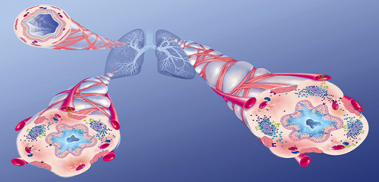 Pulmonology Cme Online Credits Courses Mycme
