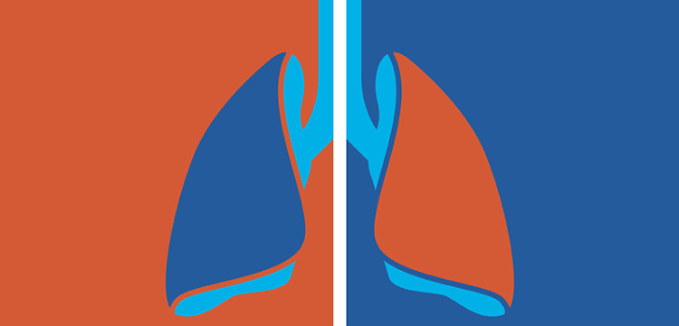 Pediatrics CME - Pediatrics Continuing Education | myCME