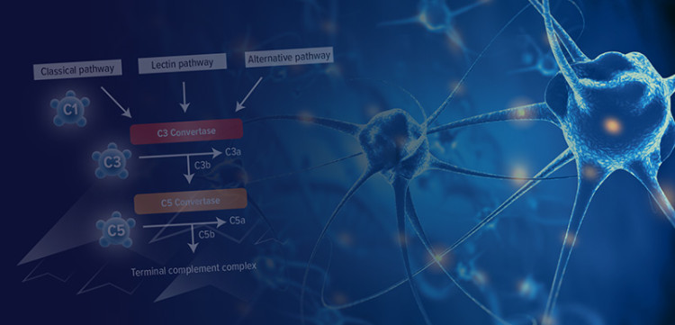 Neurology CME - Free Neurology Courses Online | myCME