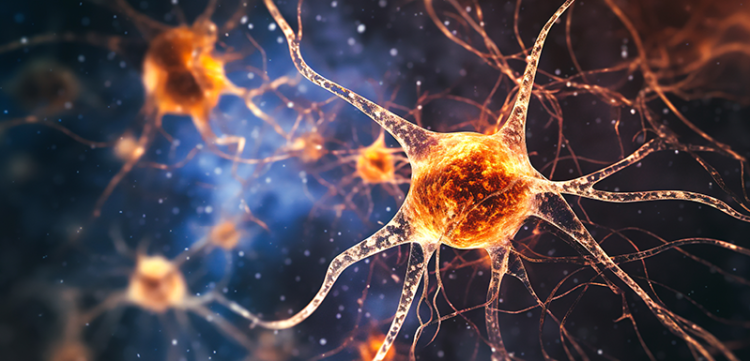 Neurology CME - Free Neurology Courses Online | myCME