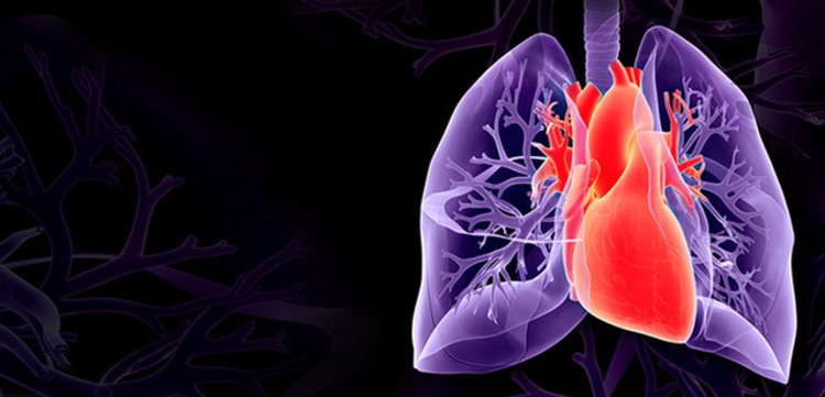 Pulmonology CME - Online Credits & Courses | myCME