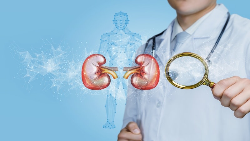 Nephrology & Urology CME/CE Courses - Renal and Urology News
