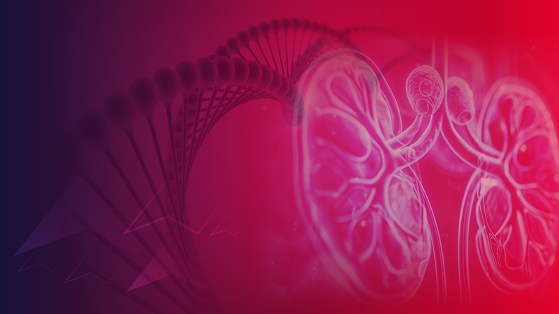 Nephrology & Urology CME/CE Courses - Renal and Urology News