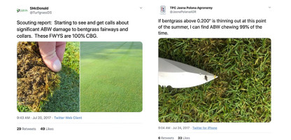 GCSAA Learning Hub