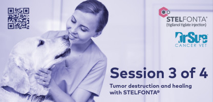 How to Become a STELFONTA® (tigilanol tiglate injection) SUPERSTAR