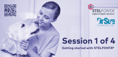How to Become a STELFONTA® (tigilanol tiglate injection) SUPERSTAR