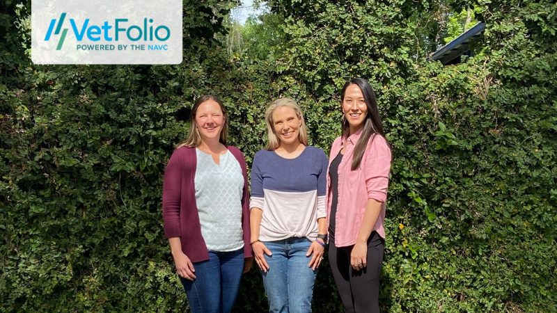 VetFolio
