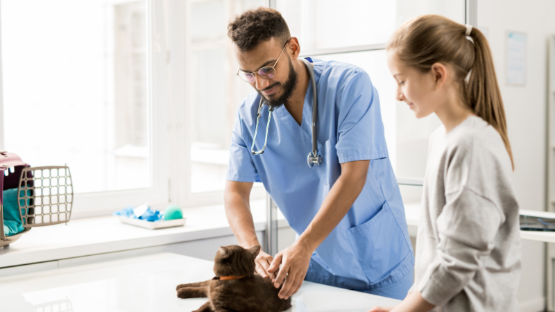 VetFolio