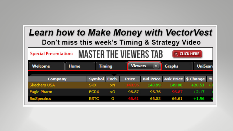 VectorVest University