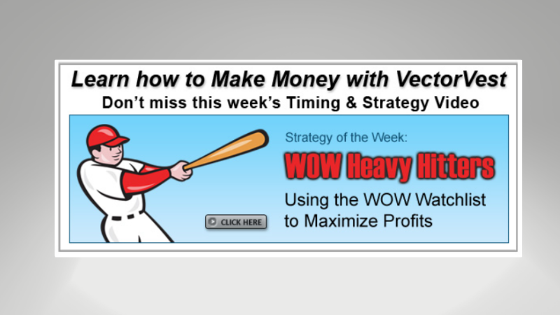 VectorVest University