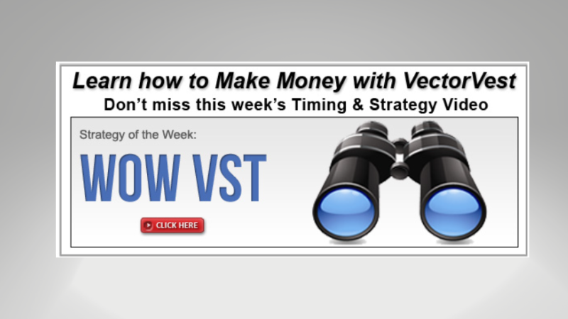 VectorVest University