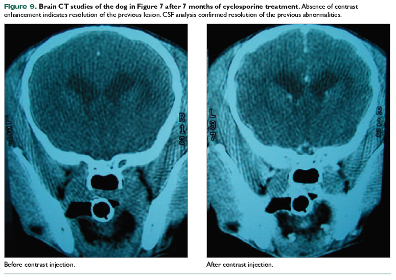 Is Gme In Dogs Painful