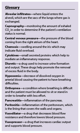 What Are The Signs Of Respiratory Distress In A Dog