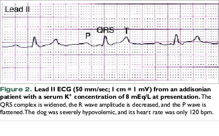 Hyperkalemia Ecg Dog
