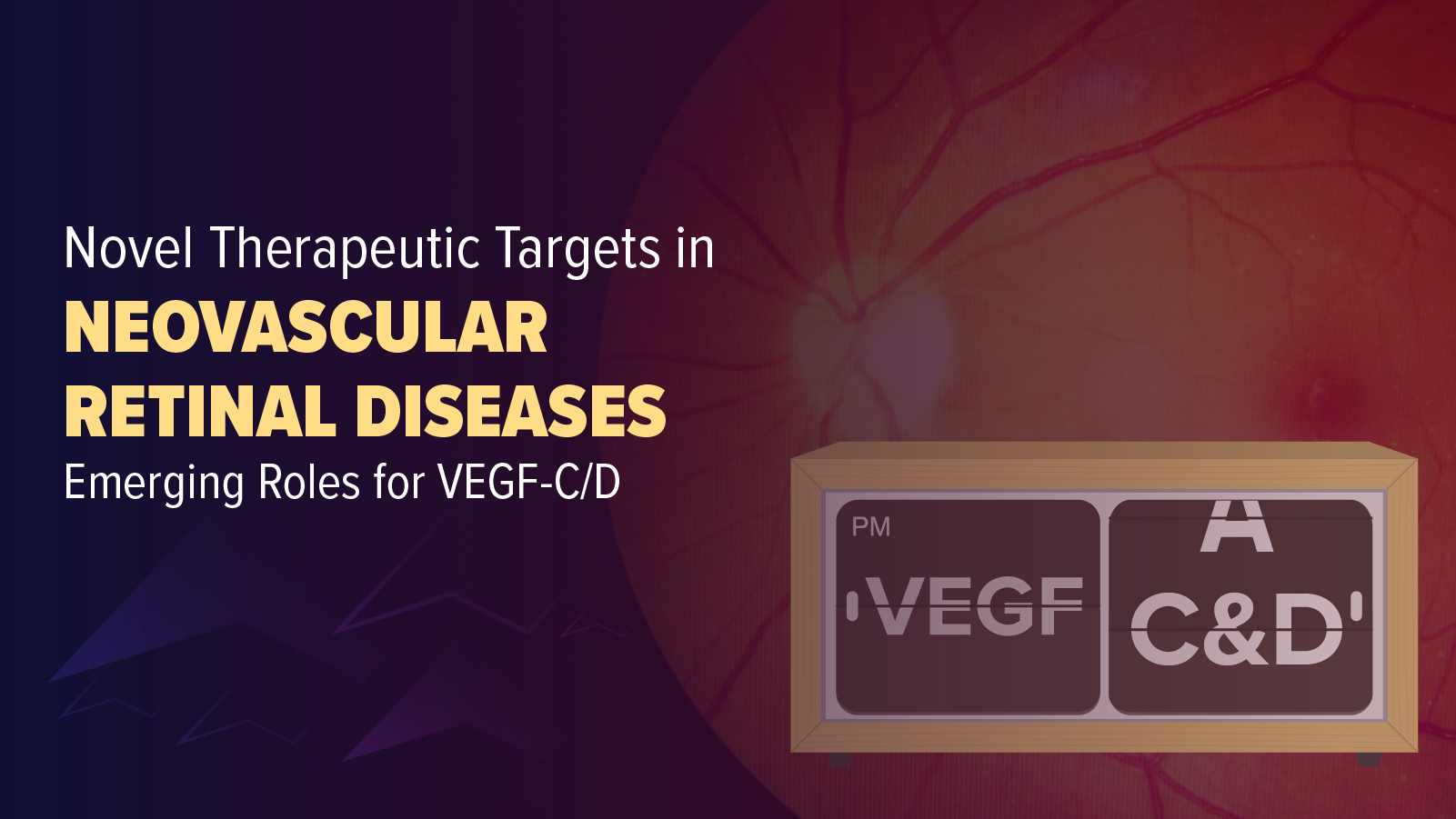 Clinical Consultations™: Novel Therapeutic Targets in Neovascular ...