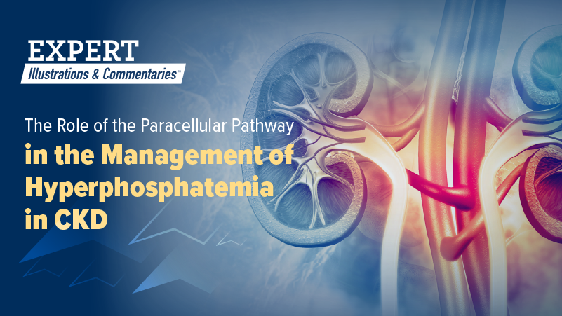 Expert Illustrations and Commentaries™: The Role of the Paracellular ...
