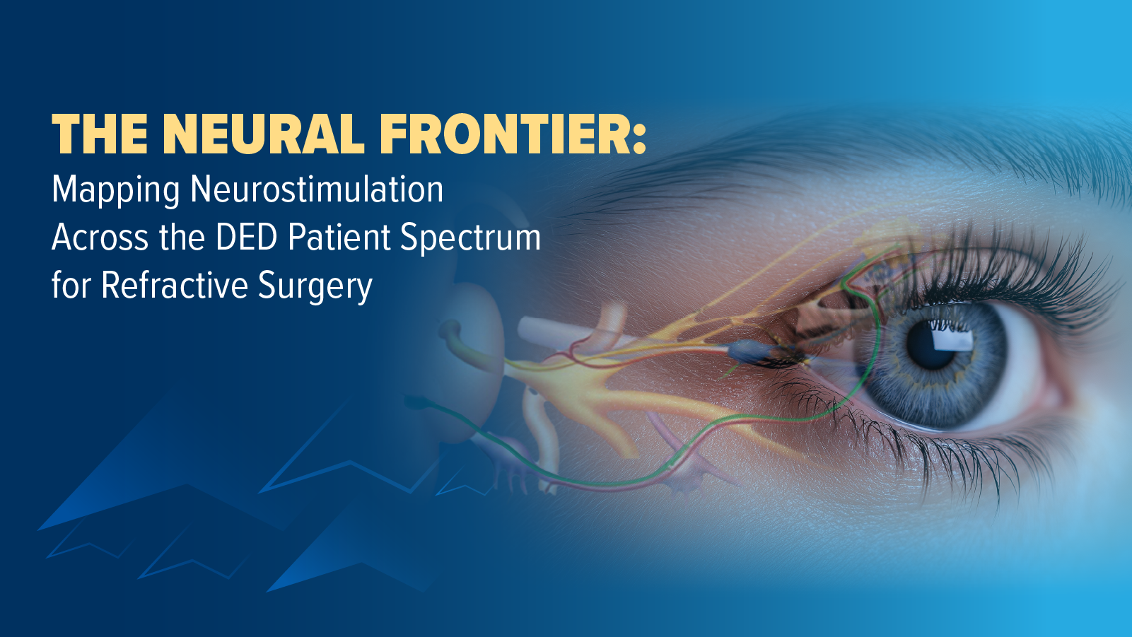 The Neural Frontier: Mapping Neurostimulation Across the DED Patient ...