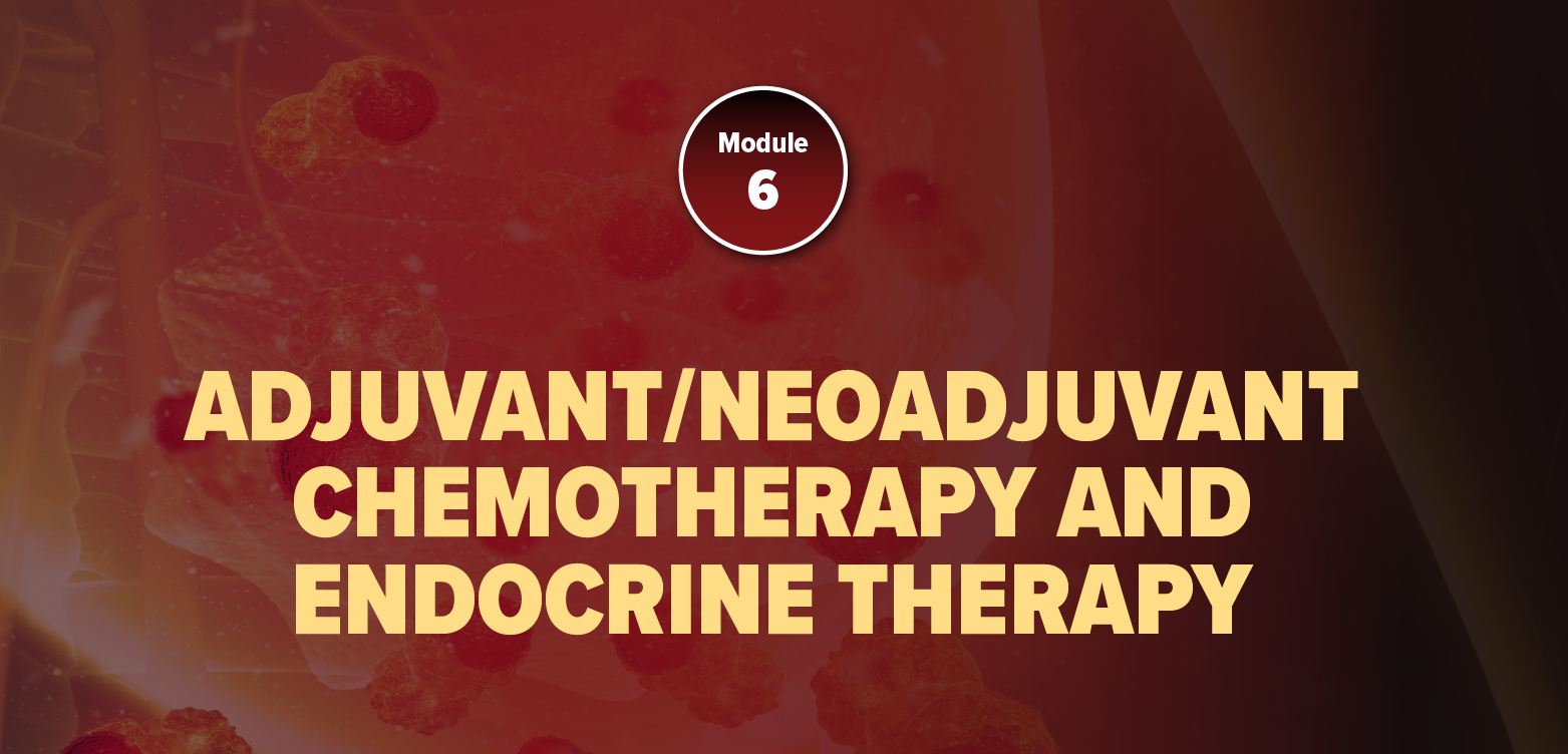 Module 6: Adjuvant/Neoadjuvant Chemotherapy and Endocrine Therapy (2024 ...