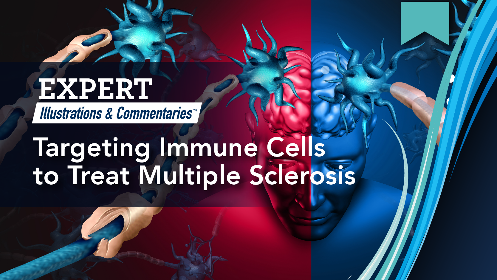 Expert Illustrations & Commentaries™: Targeting Immune Cells to Treat ...