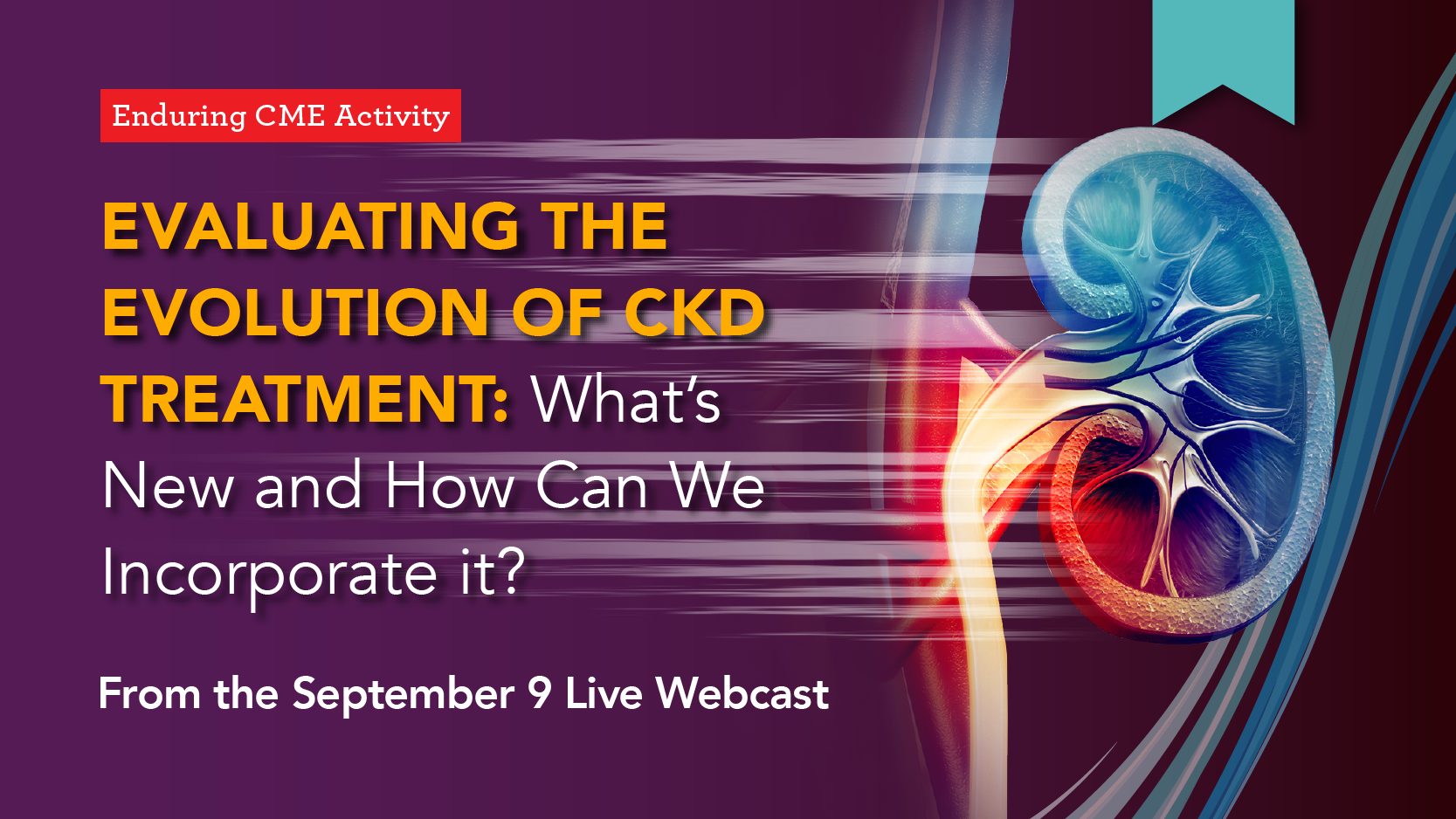 Evaluating the Evolution of CKD Treatment: What’s New and How Can We ...