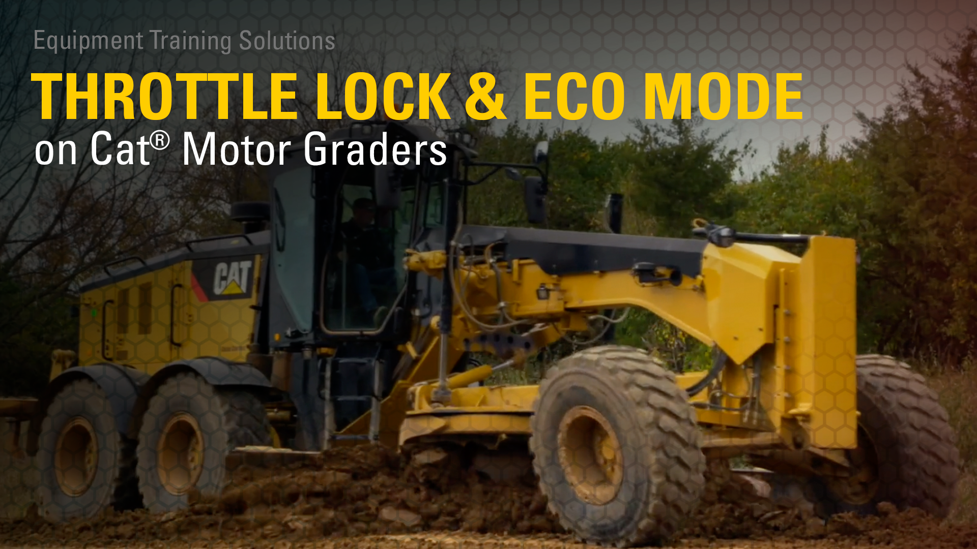 Cat® Operator Training