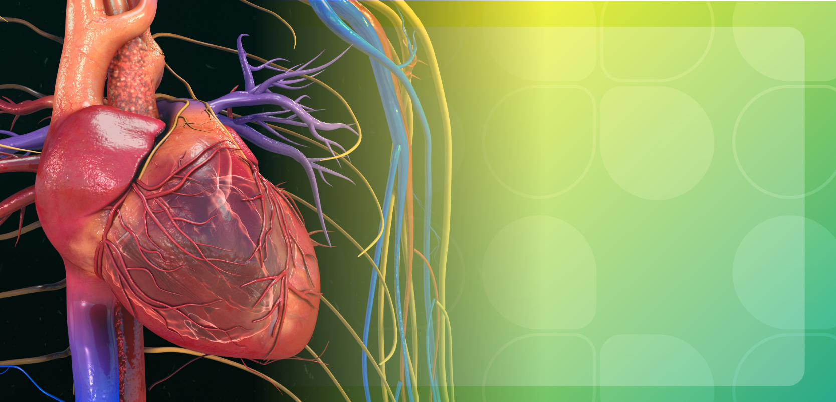 Iron Deficiency and Anemia in Heart Failure: Clinical Applications for ...
