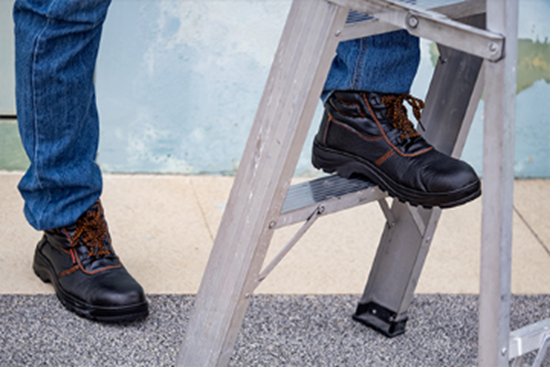 Ladder Safety - National Safety Council Shop